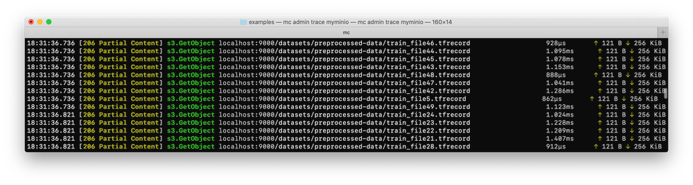 Hyper-Scale Machine Learning with MinIO and TensorFlow
