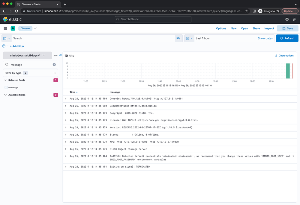 Visualize usage patterns in MinIO using Elasticsearch and Beats