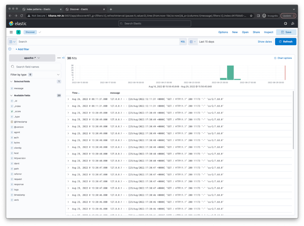 Visualize usage patterns in MinIO using Elasticsearch and Beats